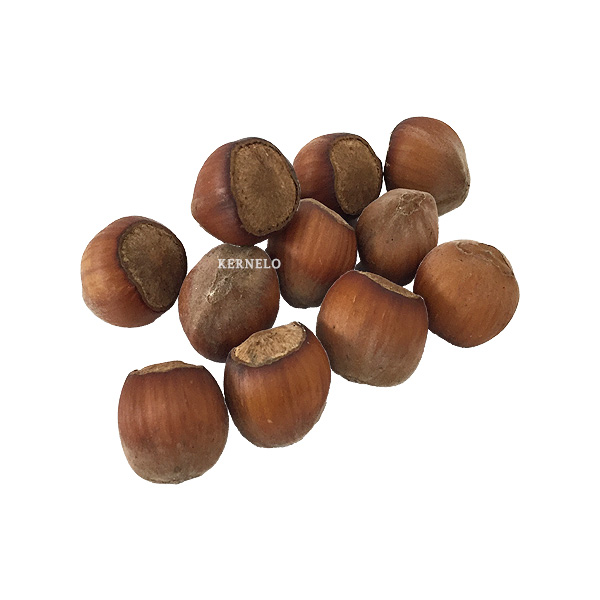 hazelnuts supplier